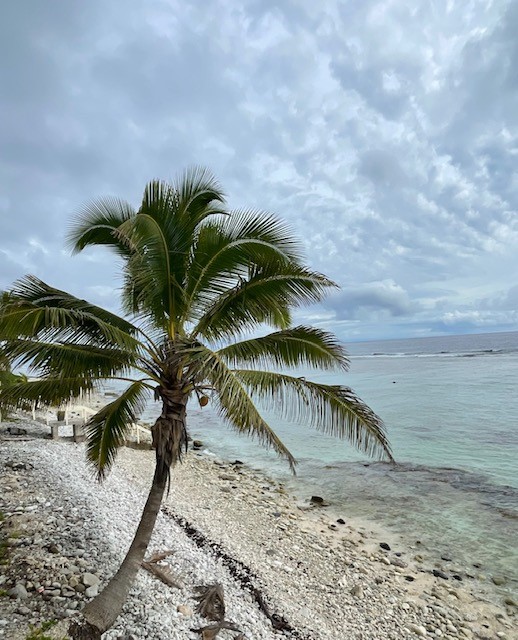 The best tours to go on in Rarotonga - The Smart Travelista